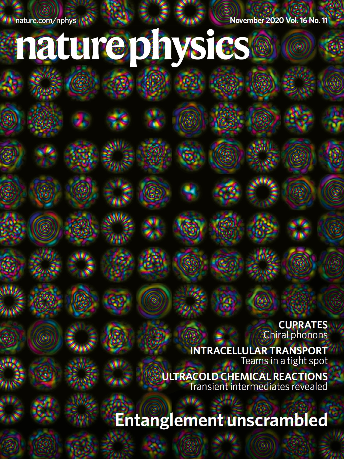 Cover of Nature Physics – BBQ Lab